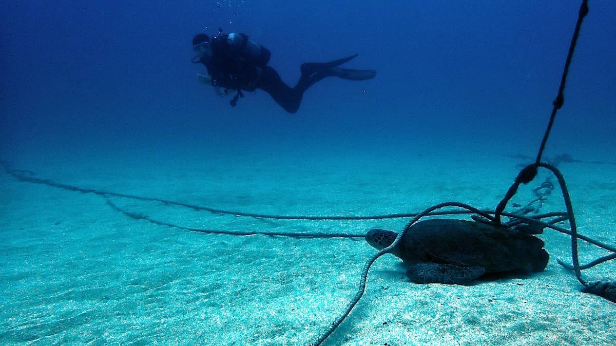 Fun Diving - Live For Diving