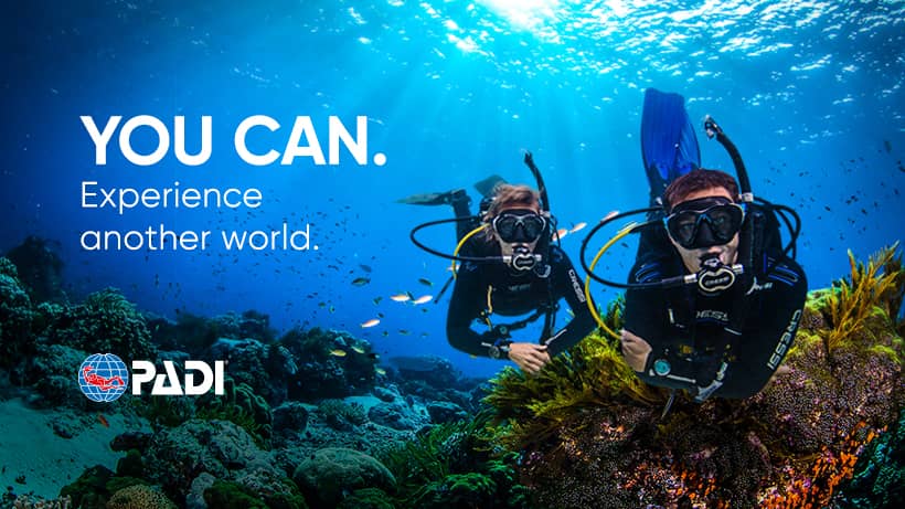 PADI Open Water Diver Course - Live For Diving